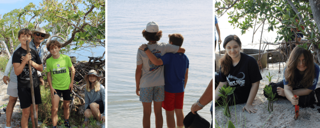 Students complete mangrove project with habitat restoration - SANIBEL ...
